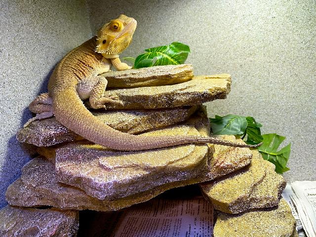 View Specific Care needs!