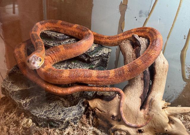 View Specific Care needs!