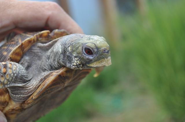 View Specific Care needs!