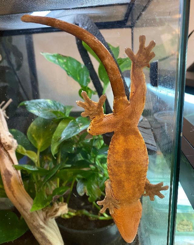 View Specific Care needs!