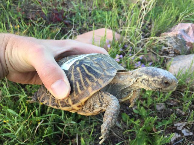 View Specific Care needs!