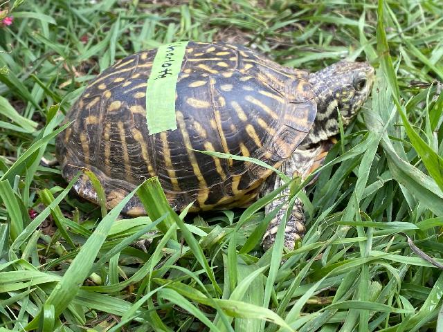 View Specific Care needs!