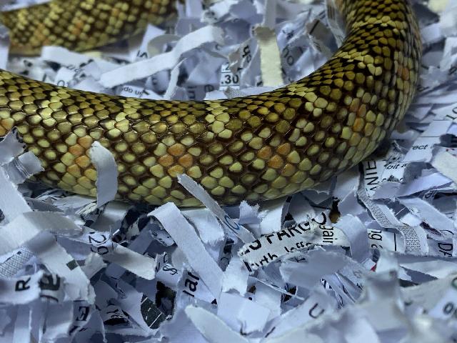 View Specific Care needs!