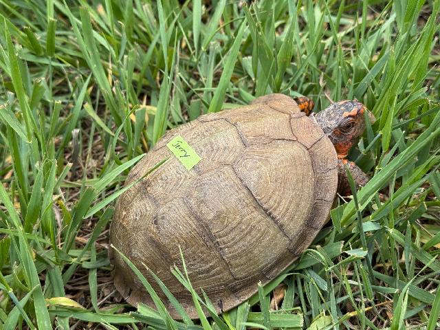 View Specific Care needs!