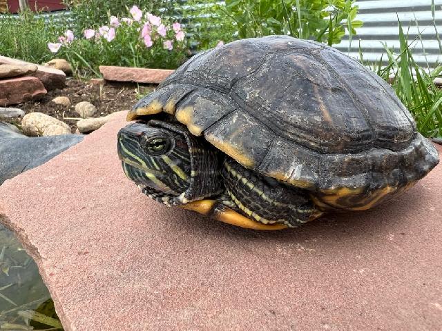 View Specific Care needs!