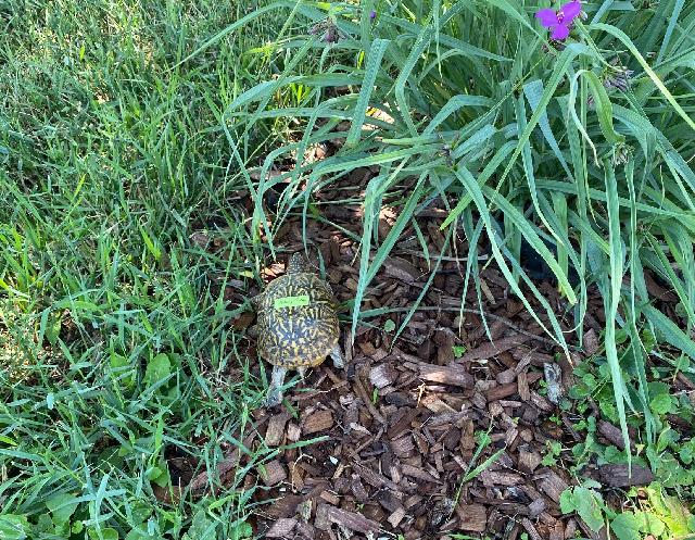 View Specific Care needs!