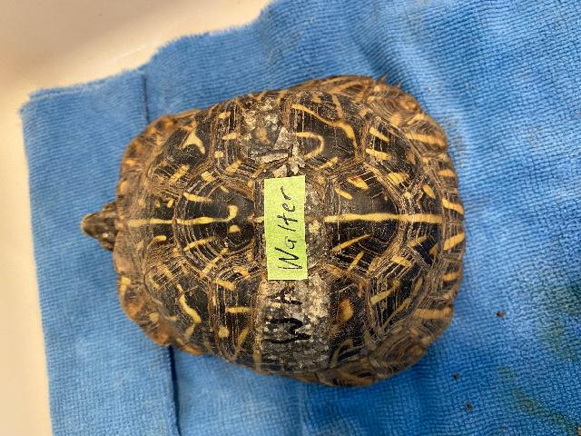 View Specific Care needs!