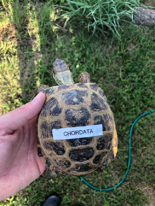 View Specific Care needs!