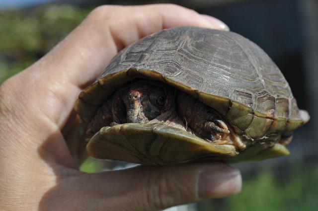 View Specific Care needs!