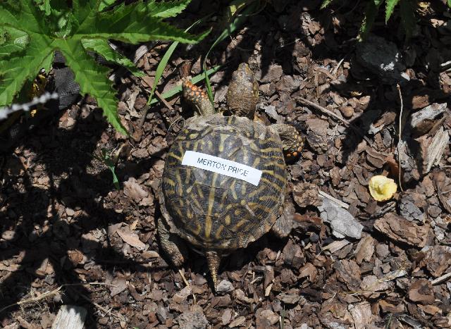 View Specific Care needs!