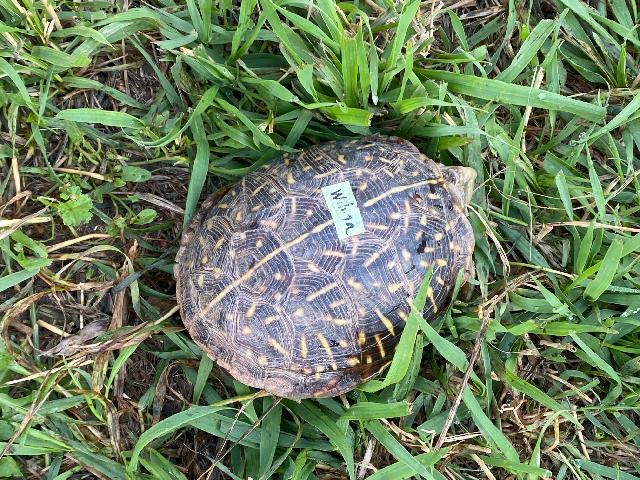 View Specific Care needs!