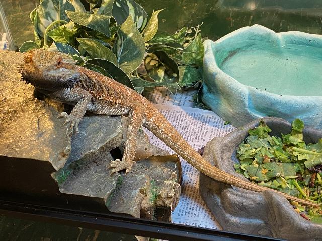 View Specific Care needs!