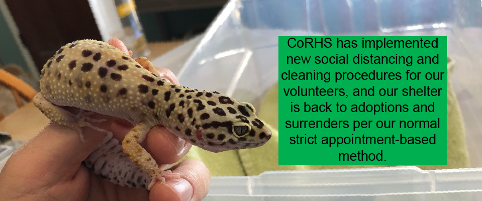 the adoption floor animals ready for adoption select an animal below to ...