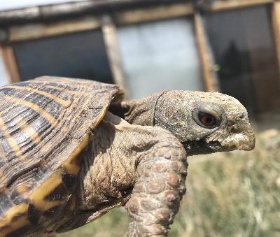 View Specific Care needs!